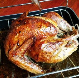 How to Cook a Perfect Thanksgiving Turkey (with photo directions ...